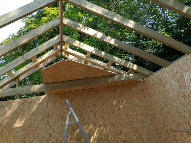 Sheathing – Dominic Dale